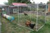 How to build a portable PVC pipe chicken run